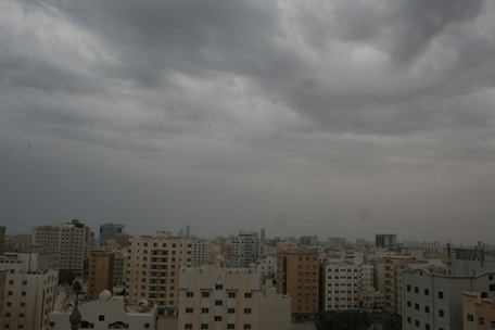 E24|7 readers capture rain in UAE - News in Images - Emirates24|7