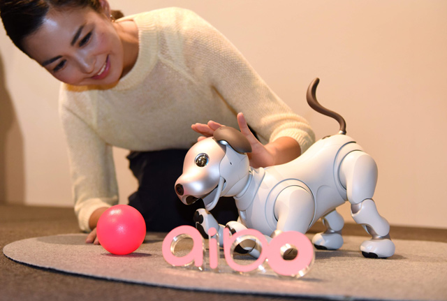 Sony revives robot pet dog - Lifestyle - Emirates24|7